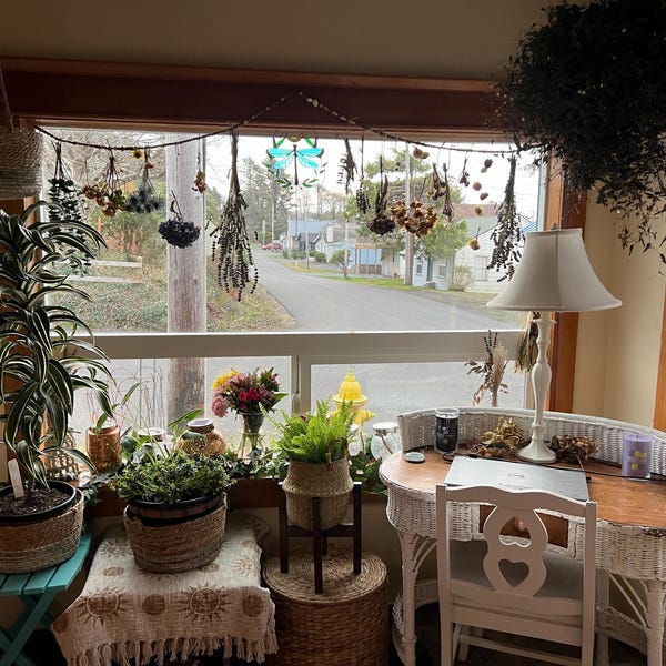 Seagrass Belly Basket Planter for Plantsman,indoor Planter Bohemian ...