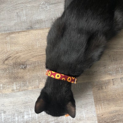 Autumn Cat Collar Fall Cat Collar Holiday Cat Collar Leaves Cat Collar ...