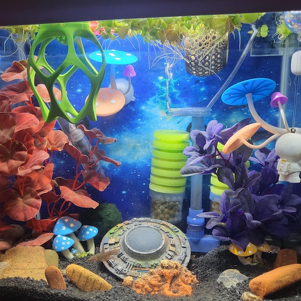 Betta Lair, Aquarium Swim Through Cave Decoration for Aquatic Pets ...