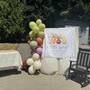 Born TWO Ball Birthday Backdrop | Boy Born 2 Ball Sports Birthday Party ...