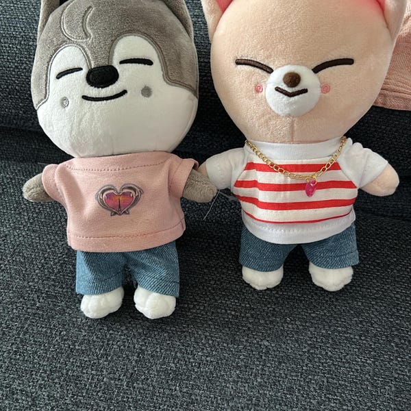 Maxident Stray Kids, OT8 Skzoo Outfits, Case 143 Skzoo Clothes - Etsy