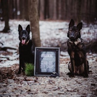 PRINTABLE Announcing Baby Guard Dog Duty Chalkboard Pregnancy ...