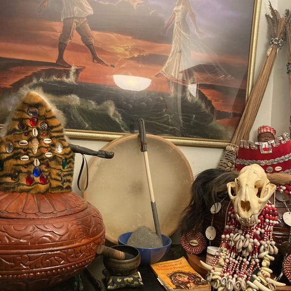 GMP Pangi Seed Shell Shaker/juju/chacha Nutshell Percussion Sound ...