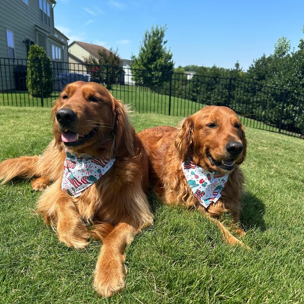 Sienna Bandana, Dog Bandana, Fall Dog Bandana, Over the Collar Dog ...