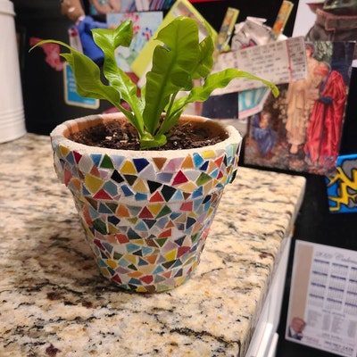 Small Colorful Triangular Pot 3.5 Inches - Etsy