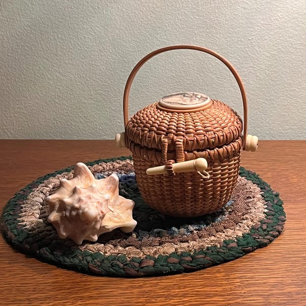 Large Specimen Grade 63.1mm CONUS Regius Royal, Crown Cone SEASHELL JB ...