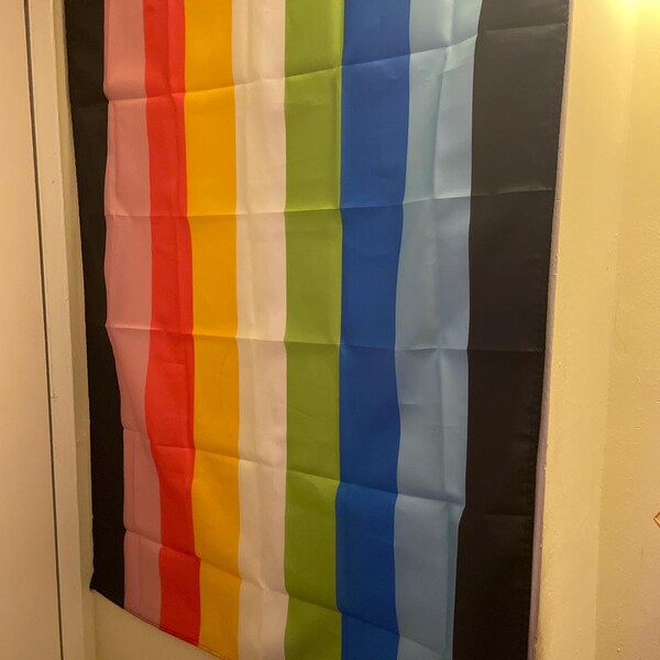 DIGITAL FILE: Printable Extended Pride Flag Reference Guide - Includes ...