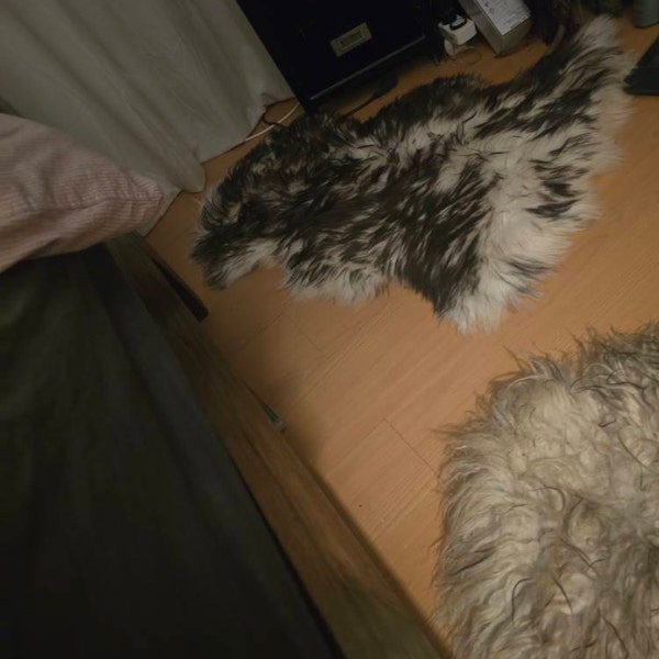Yeti Sheepskin Rug Throw Hide Very Rare Breed 100% Genuine Natural ...