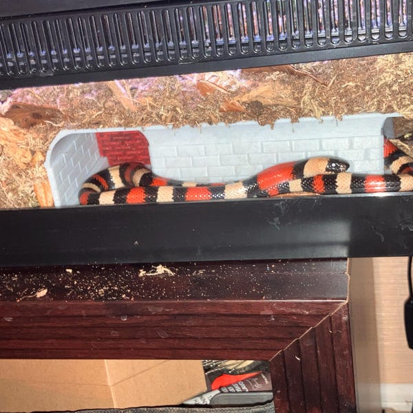 Vintage-style 3D Printed Copper Diving Helmet for Aquariums – Unique ...