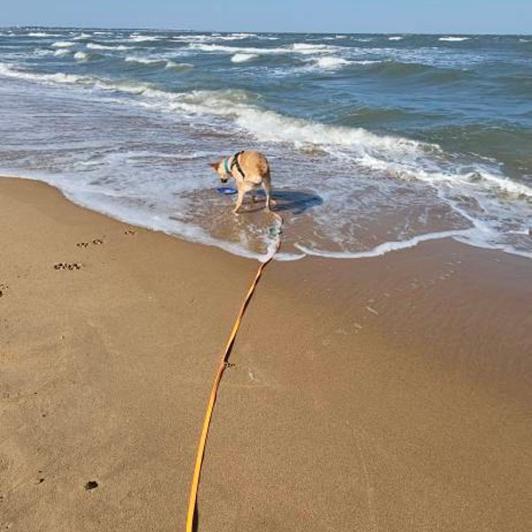 Biothane Long Line Dog Leash, 5/8 Inch Width Extra Long Leash, Recall ...