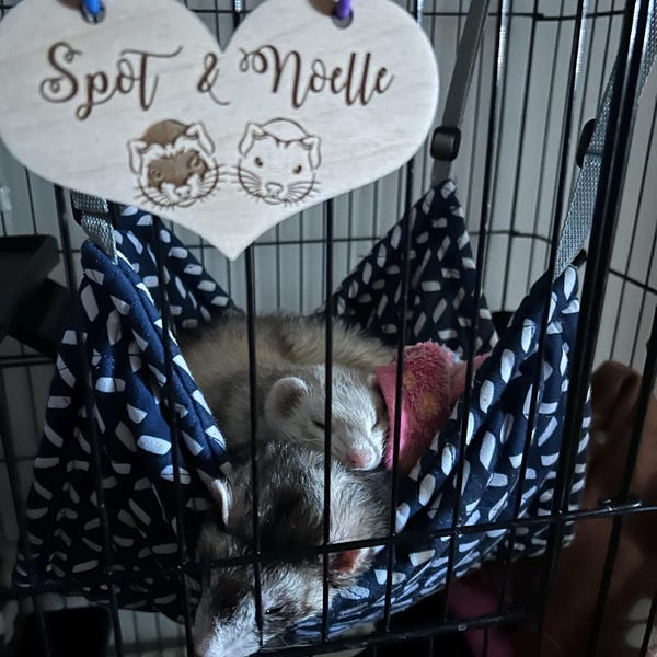 Guinea Pig Cage Tag, Personalized, Custom, Engraved Wood, Pet Guinea ...