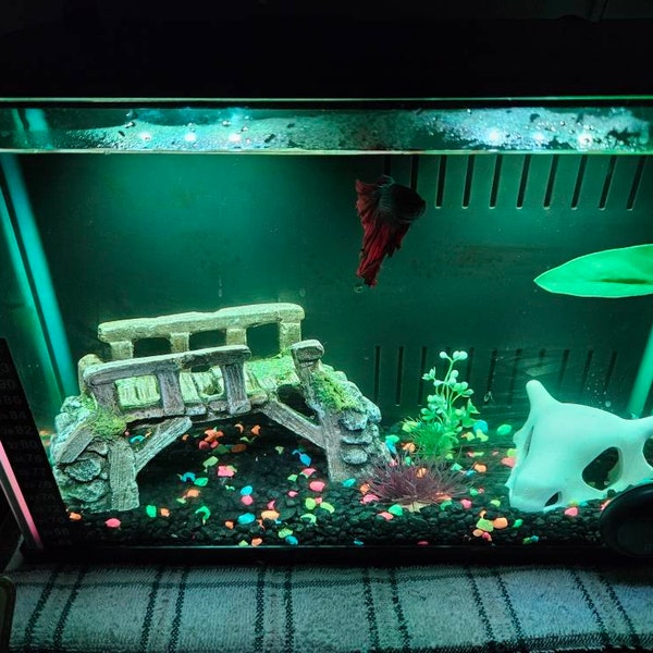 T Rex Aquarium Decoration | White Dinosaur Fish Tank Decor | Household ...