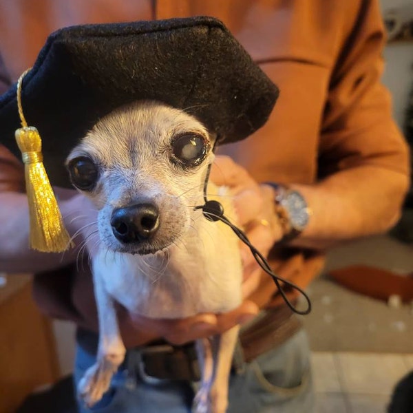 Marine Captain Mini Hat - Cat Captain Hat - Original Design - Pet ...