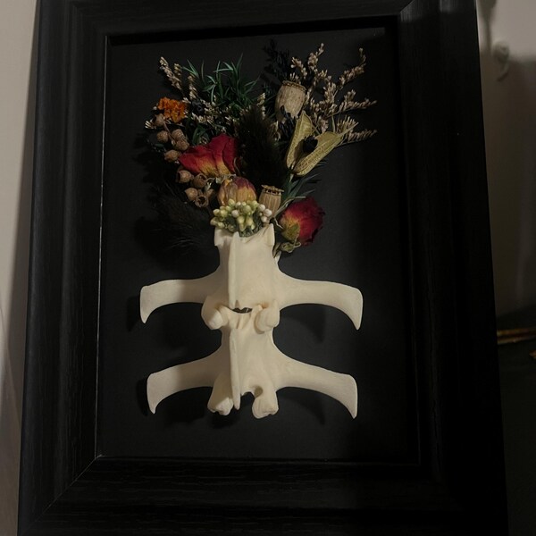 Mouse Vertebrae Vial Necklace..curio Oddities Witchy Taxidermy Pagan ...