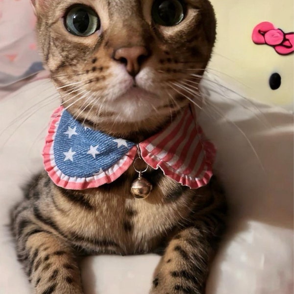 Floral Cat Collar, Shirt Cat Collar, Flowers Print Cat Collar, Styled ...