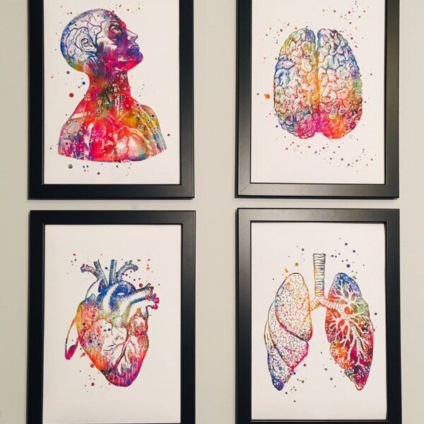 Anatomy Art DEALS Set of Prints Human Heart Brain Lungs Watercolor Wall ...