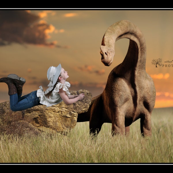 Dinosaur Scene Premade Backdrop Dinosaur Backdrop Dinosaur Background ...