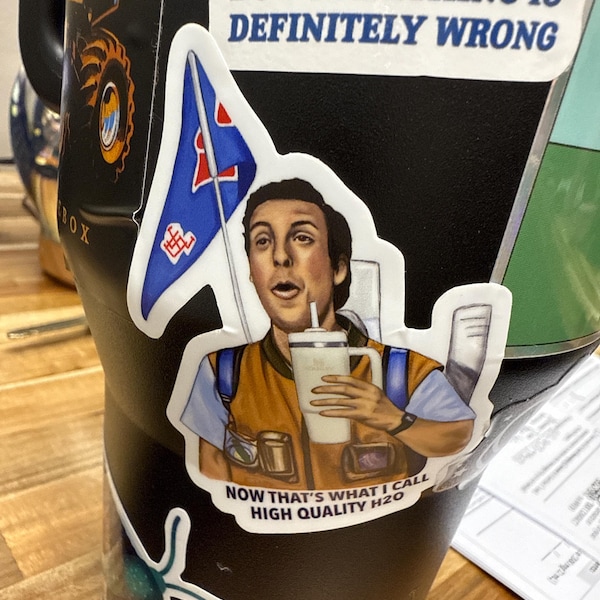 Bobby Boucher H2o Waterboy Vinyl Sticker or Magnet (matte Finish) - Etsy