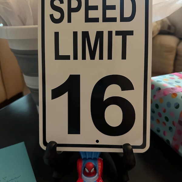 Speed Limit 16 Metal Sign: 16th Birthday Party Decor - Etsy