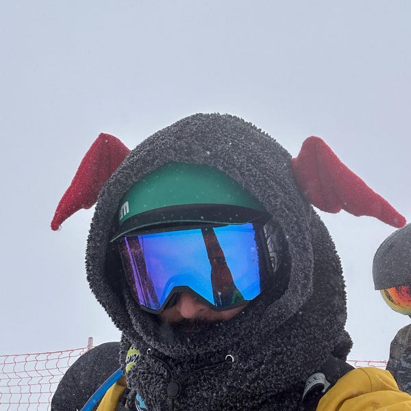 Red Fox Mask Balaclava for Adults, Moving Ears Hats, Snowboard ...