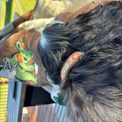 Chili Peppers Ribbon Dog Collar - Etsy