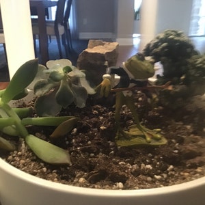 Alexander Chen aloha Tower S/N Print | Etsy