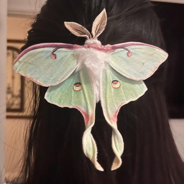 Handmade Realistic Green Luna Moth Hair Clip Accessory or Brooch ...