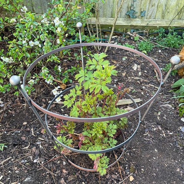 Rusty Peony Cage - Plant Support - in 2 Sizes- Raw Steel Designed to ...