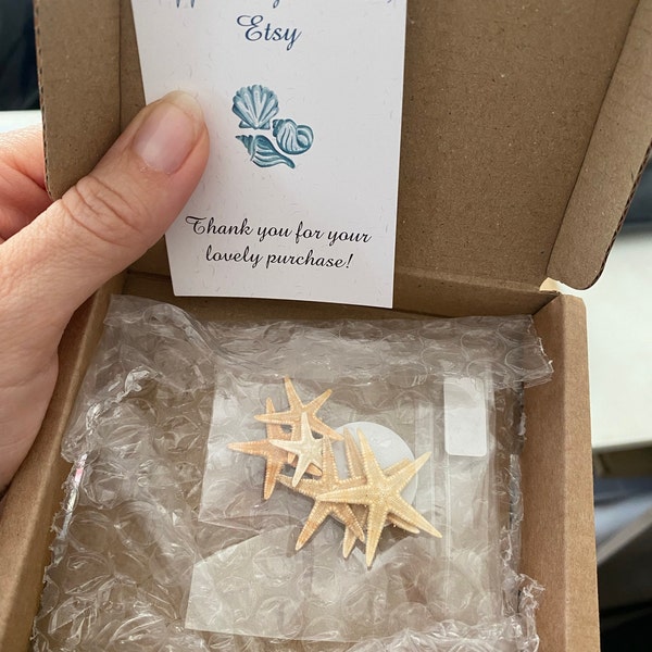 10 Mussel Shells, Varnished / Unvarnished. Fab for Wreaths & Wedding ...