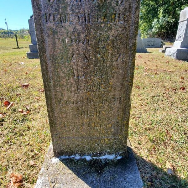 Pratley Quickset Clear Epoxy - Etsy