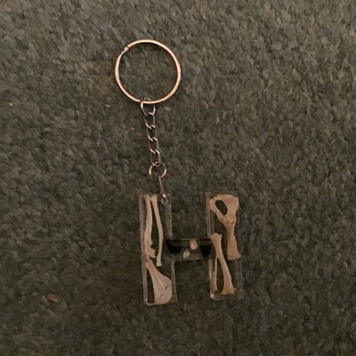 Real Mole Bone Displays. Bone Display. Mounted Mole Bones. - Etsy UK