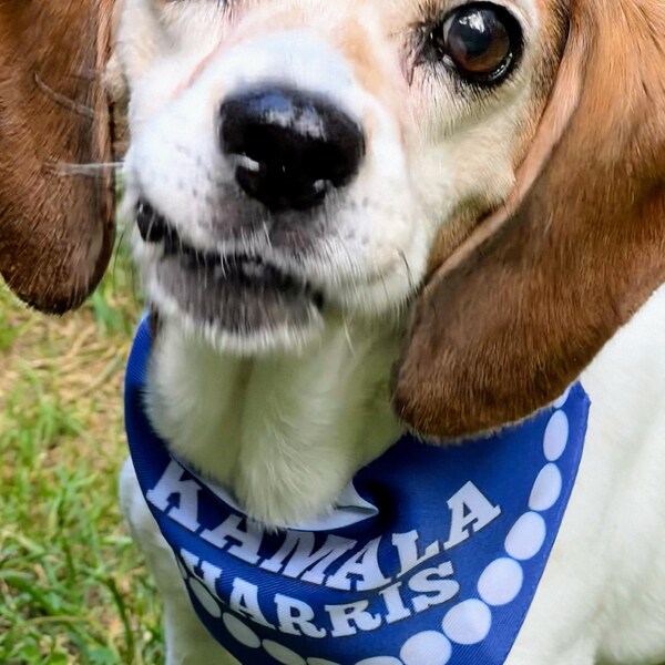 Golf Graduation Card, Graduation Card, Sports Graduation Card, Golf ...