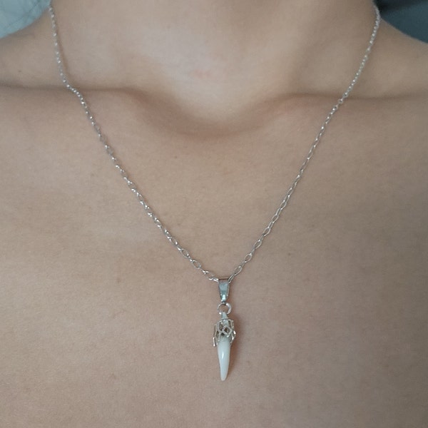 Dangling Raccoon Bone Necklace, Animal Bone Jewelry, Taxidermy Necklace ...