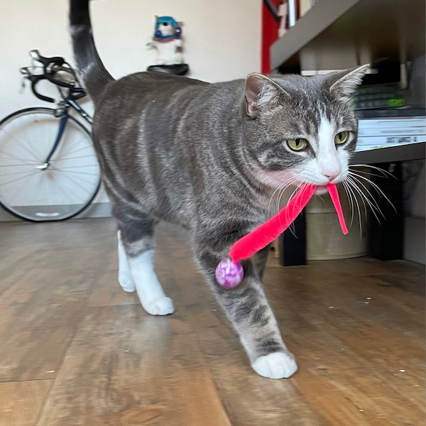 Super Bouncy Wiggly Ball - Cat Toy With Wiggly Tail, Fun Cat Toy Ball ...