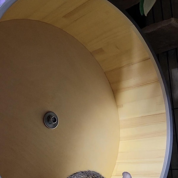 16" New Wheel Conception by Rodents Home. Aluminium Hoop Installed ...