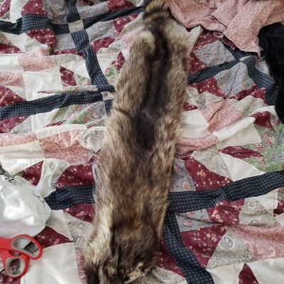 Professionally Soft Tanned 3XL 1 Grade Iowa Raccoon/coon Hide/pelt - Etsy