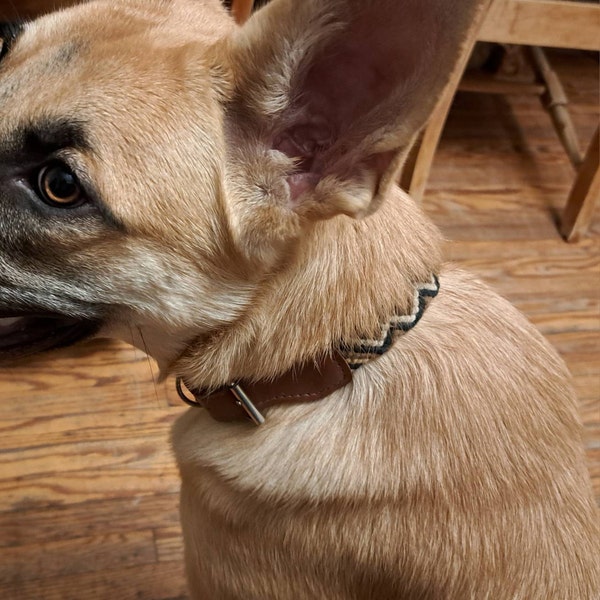 Pastel Goth Eyes Bow Jewelry, Goth Black Chain Necklace, Emo Fabric ...