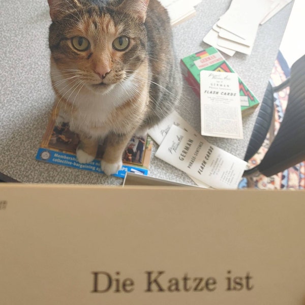 Vintage Art Edouard Manet Lady With Fan Penn Prints Dr 191 - Etsy