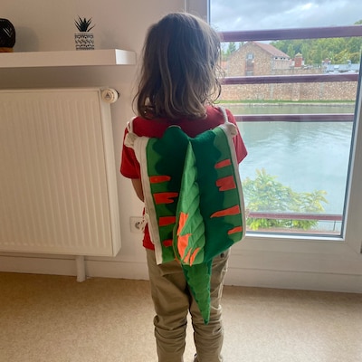 Sewing Patterndino Dana Inspired Backpack Pattern: Spinosaurus - Etsy