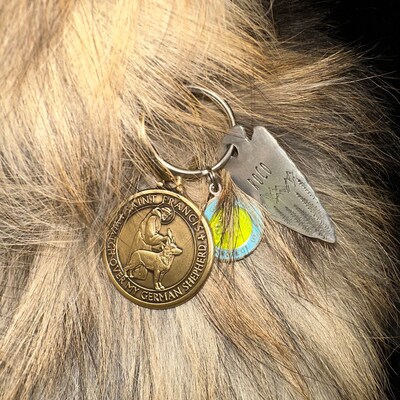 Saint Francis Dog Tag for All of God's Creatures - Etsy