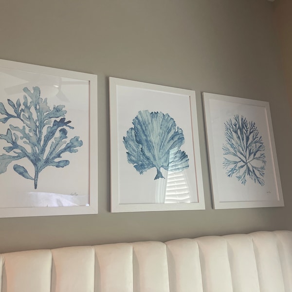 Sky Blue Coral Seaweed Wall Art Set of 3 Prints, Minimalist Wall Decor ...