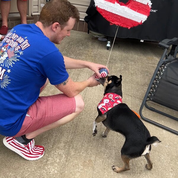 Sale! 20” Handcrafted Custom Made Number Two Pinata Patriotic Second ...