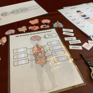 BUSY BOOK PRINTABLE My Body Worksheets Pre-K and K Learning | Etsy