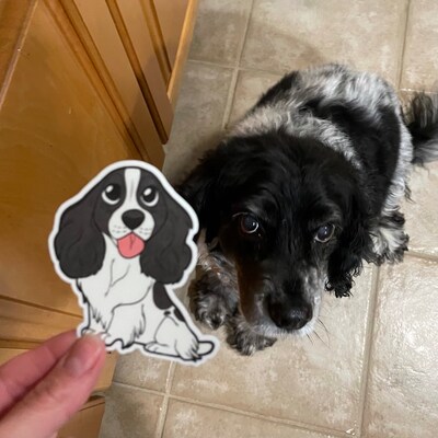 Spaniel Sticker English Cocker, Field, Springer, Chibi Puppy Dog, Vinyl ...