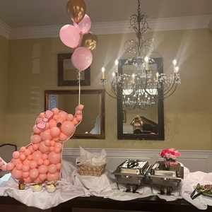 Sushi Party Decorations Sushi Party Ideas Sushi Balloon | Etsy