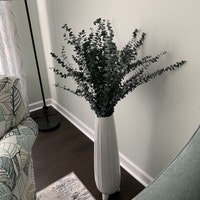 Fresh Leather Leaf Fern baker Fern Bunches free Shipping - Etsy