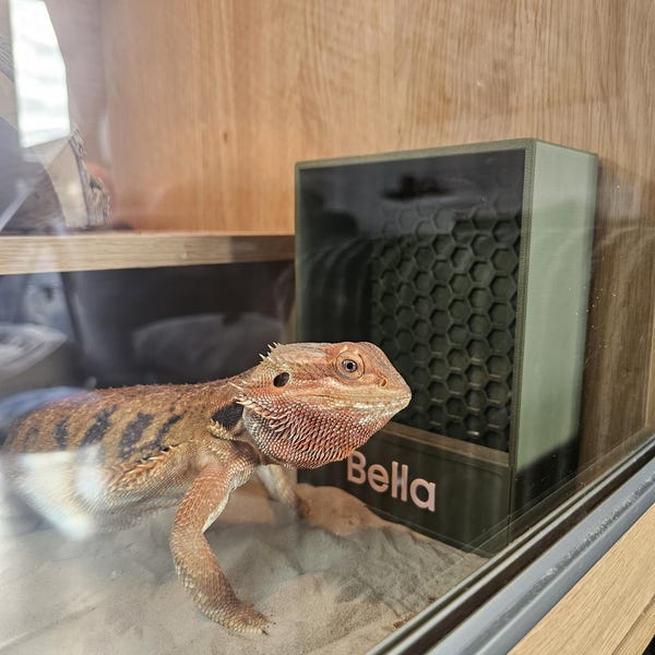 Reptile Climbing Ramp, Bearded Dragon Basking Platform, Rock Wall ...