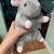 Rat Plushie Sewing Pattern Photo Tutorial, Mouse Stuffed Animal PDF ...