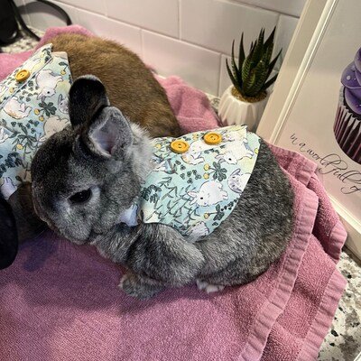 Easter Bunny Garden Bunny Pet Bunny Dress/harness Rabbit - Etsy