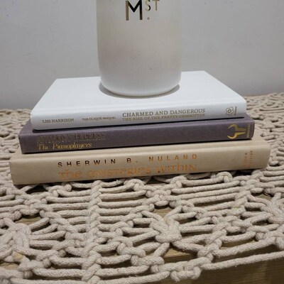 White Book Stack, White Shelf Aesthetic, White Themed Books, Ivory ...